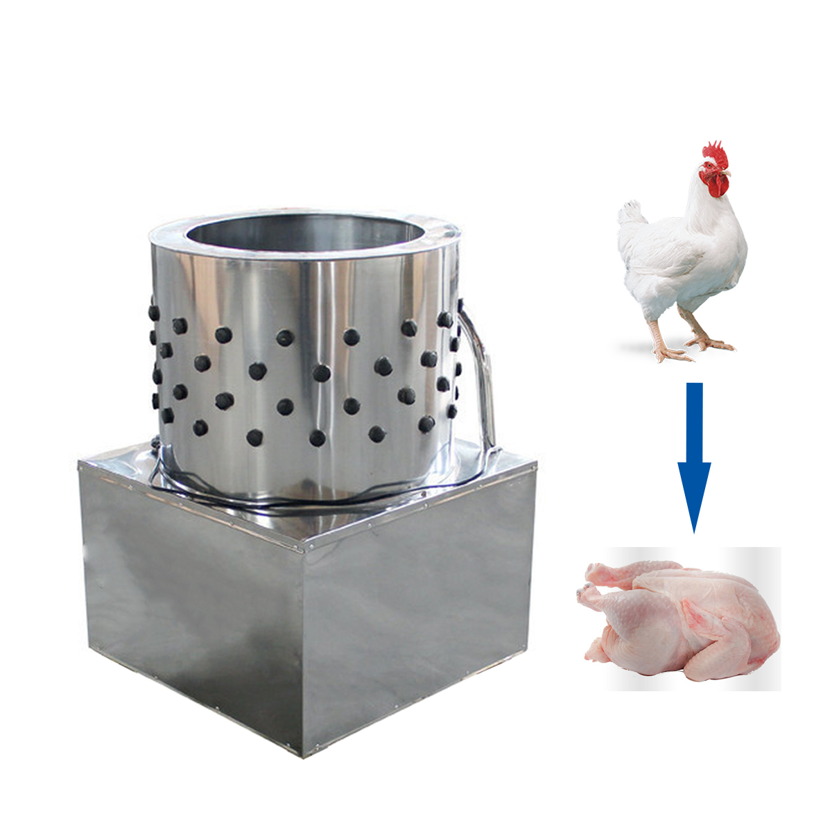 LFM (Made in India) - Special Discounts on Commercial Chicken ...