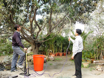 Hymax Original - Buy Hymax Portable Foot Sprayer 6 Bar Pressure