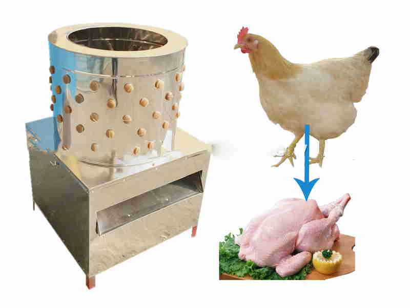 LFM (Made in India) - Order Online Laxmi Chicken Defeathering Machine 3 ...