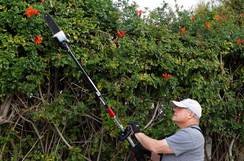 Imported - Buy Pole Pruner, 4-Stroke, 31CC at Lowest Price