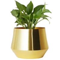 Ecofynd 5 inches Alice Jr Metal Golden Plant Pot