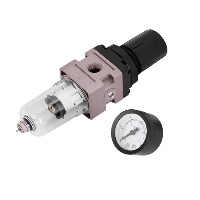 1/4 Inch Filter Regulator With Gauge (AW2000-02)