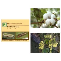 PC - 20 Pcs Pheromone Lures For Spotted Bollworm (Earias Vitella)