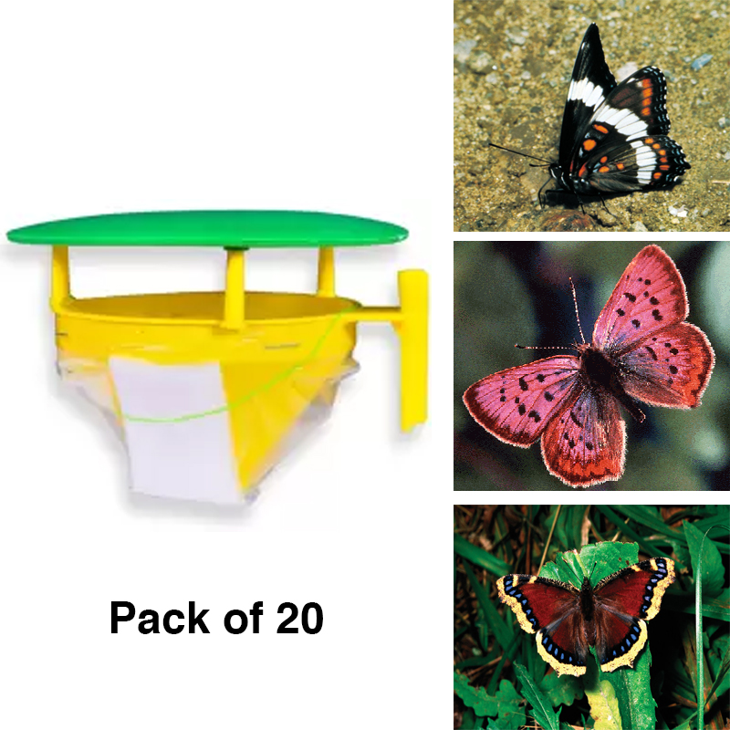 Buy : Green Revolution Funnel Pheromone Trap for Insects Traps