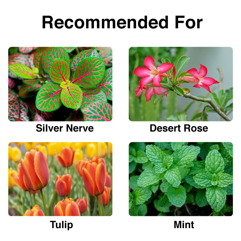 Vanproz - Organic Pushp, Flower Booster Special For All Crops